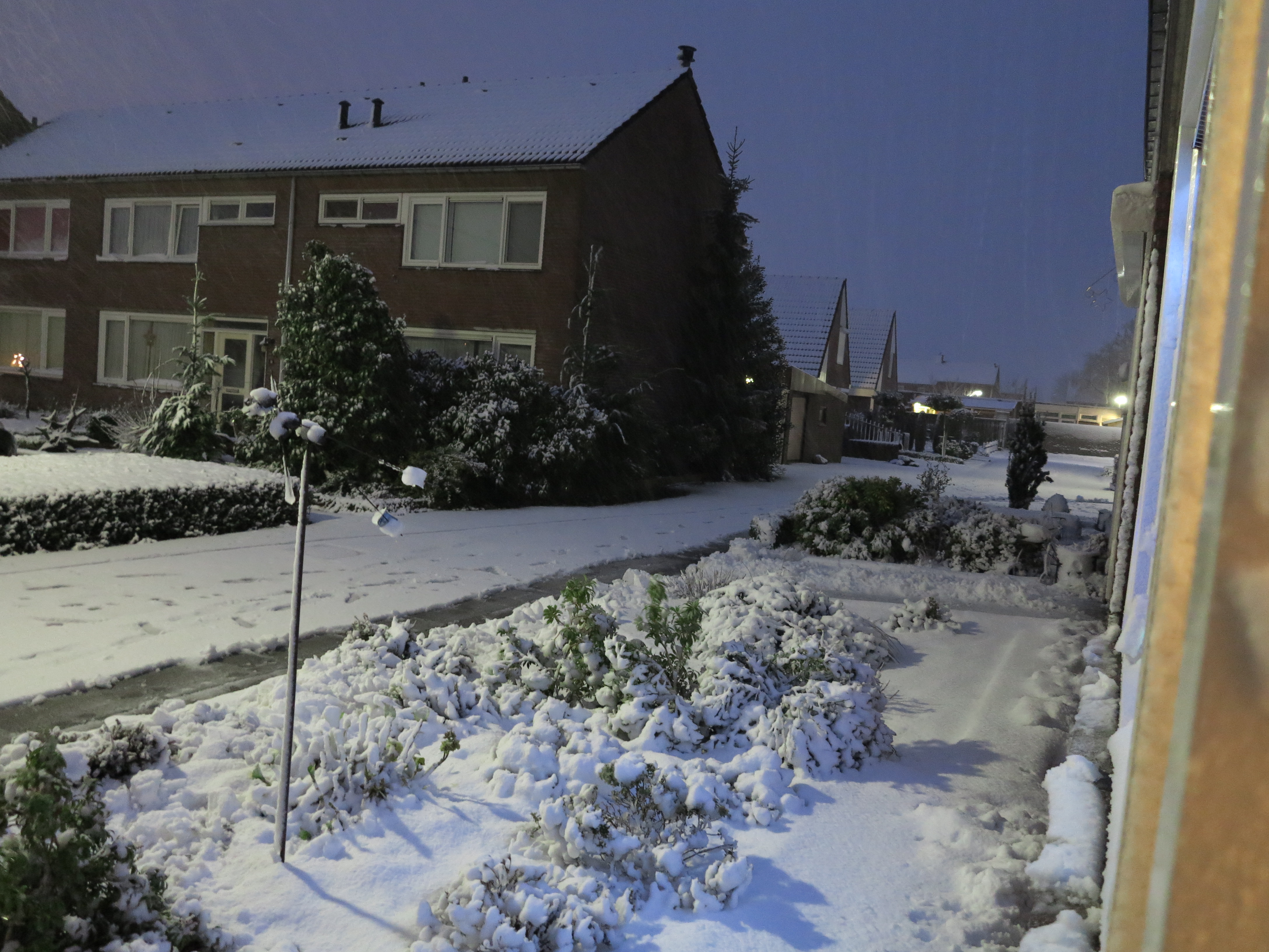 Winter in Nederweert (Foto's van lezers) - Nederweert24