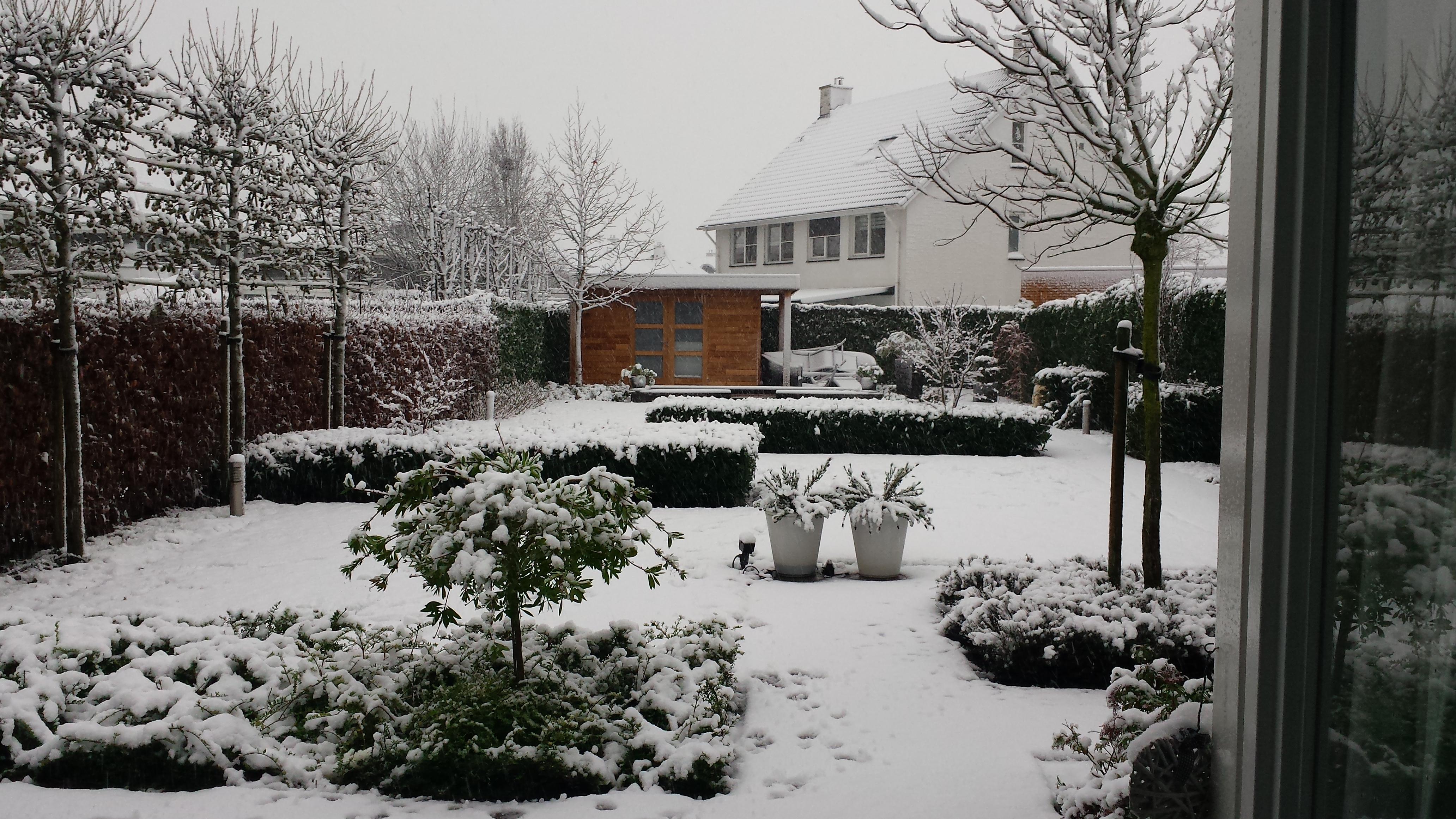 Winter in Nederweert (Foto's van lezers) - Nederweert24