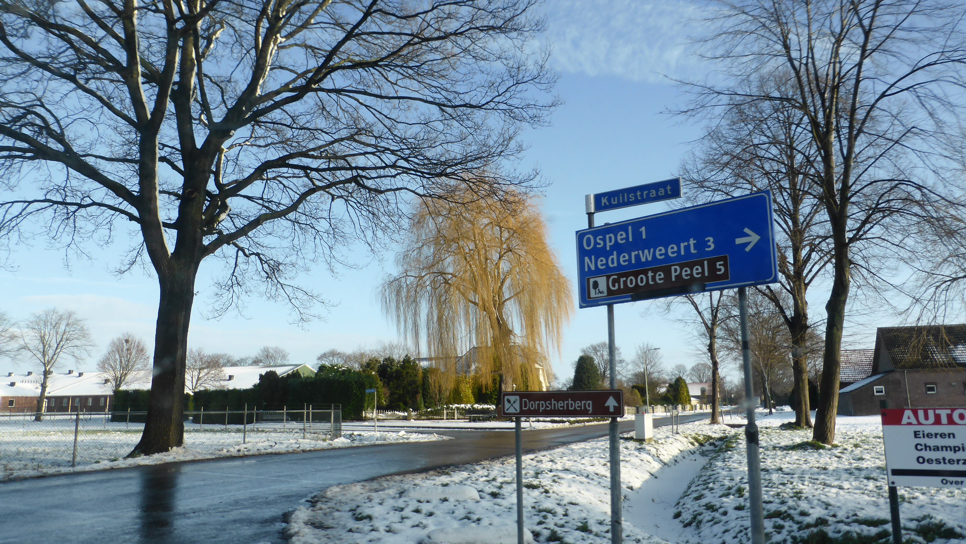 Winter in Nederweert (Foto's van lezers) - Nederweert24
