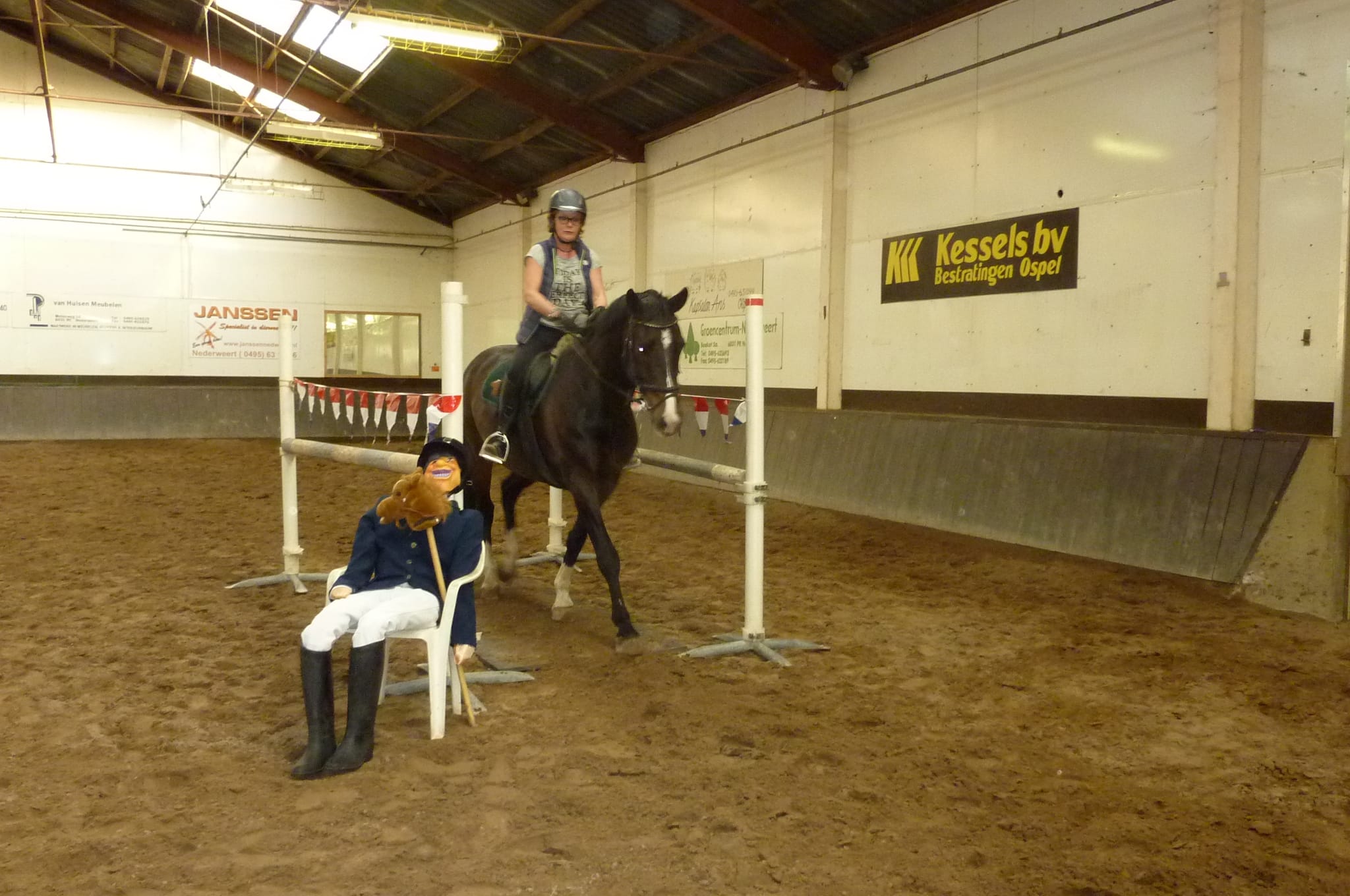 Schrik- en obstakeltraining voor paarden - Nederweert24