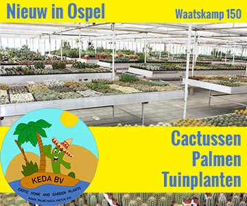 Davey Driessen uit Nederweert in Wie is de Mol? Junior - Nederweert24