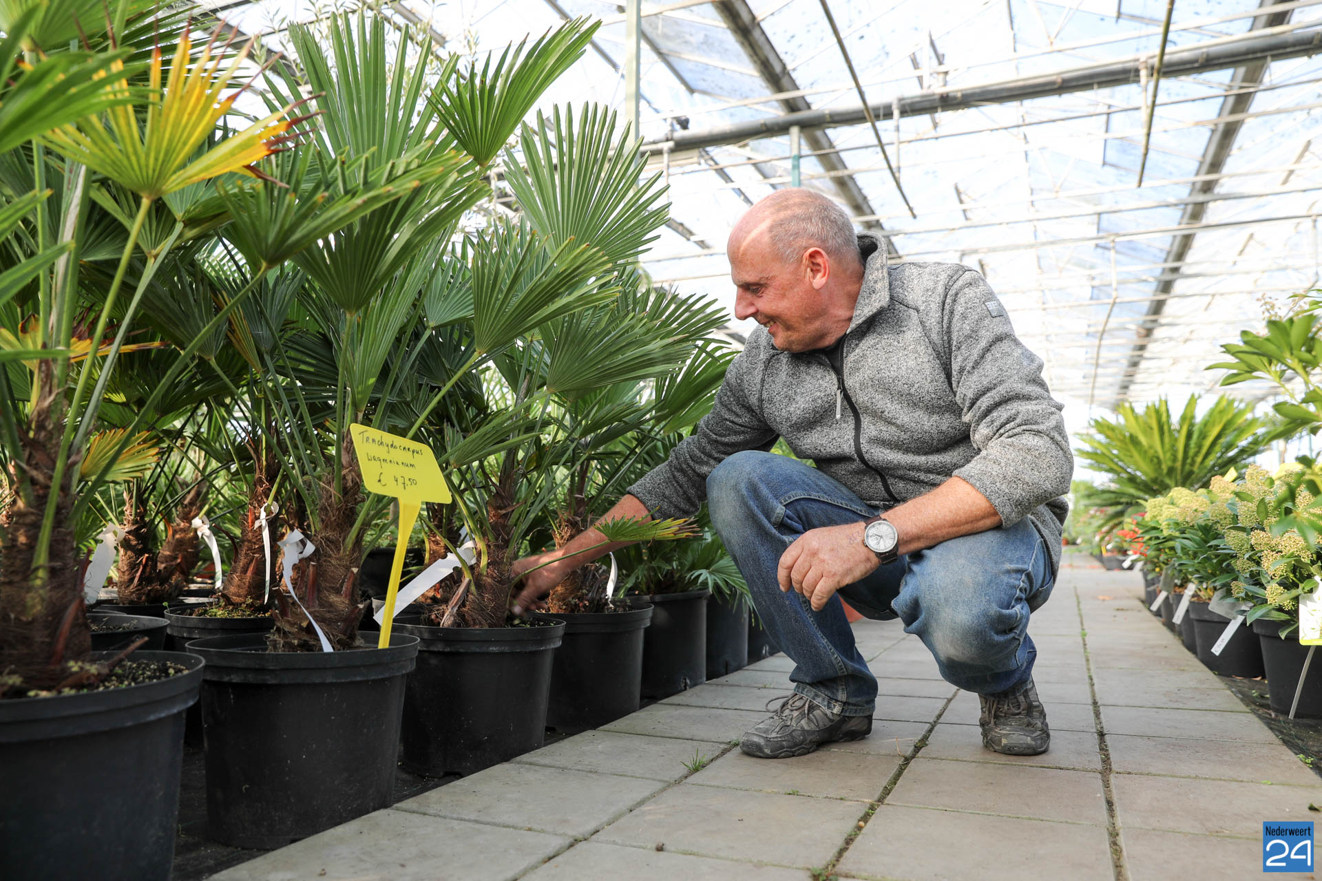Uniek exotisch plantencentrum opent deuren in Ospel - Nederweert24
