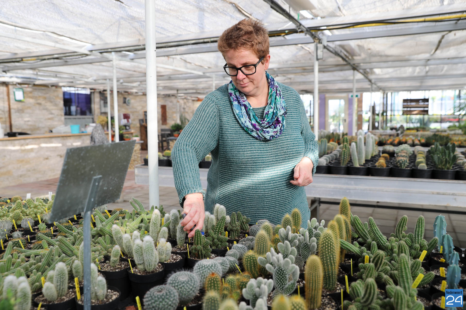 Uniek exotisch plantencentrum opent deuren in Ospel - Nederweert24