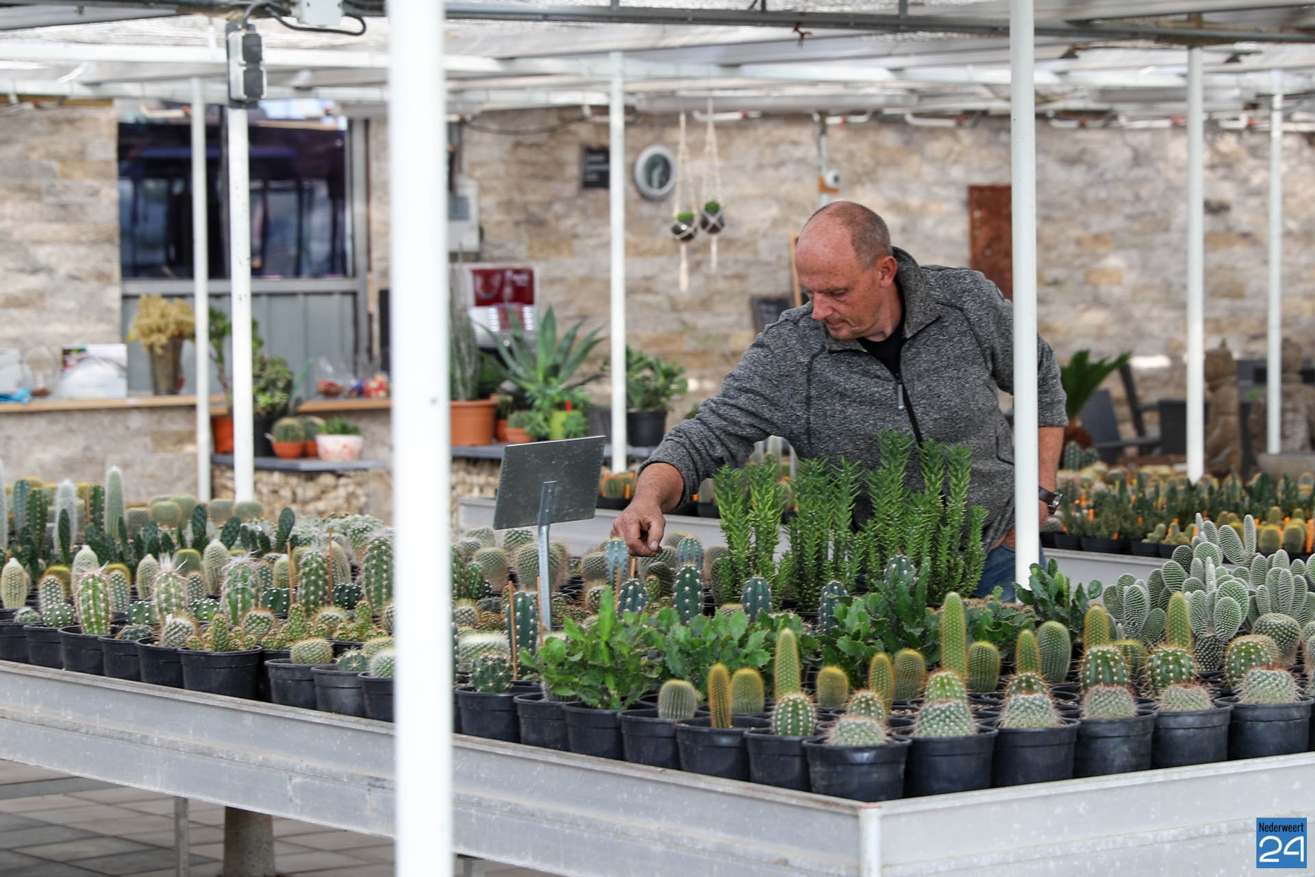 Uniek exotisch plantencentrum opent deuren in Ospel - Nederweert24