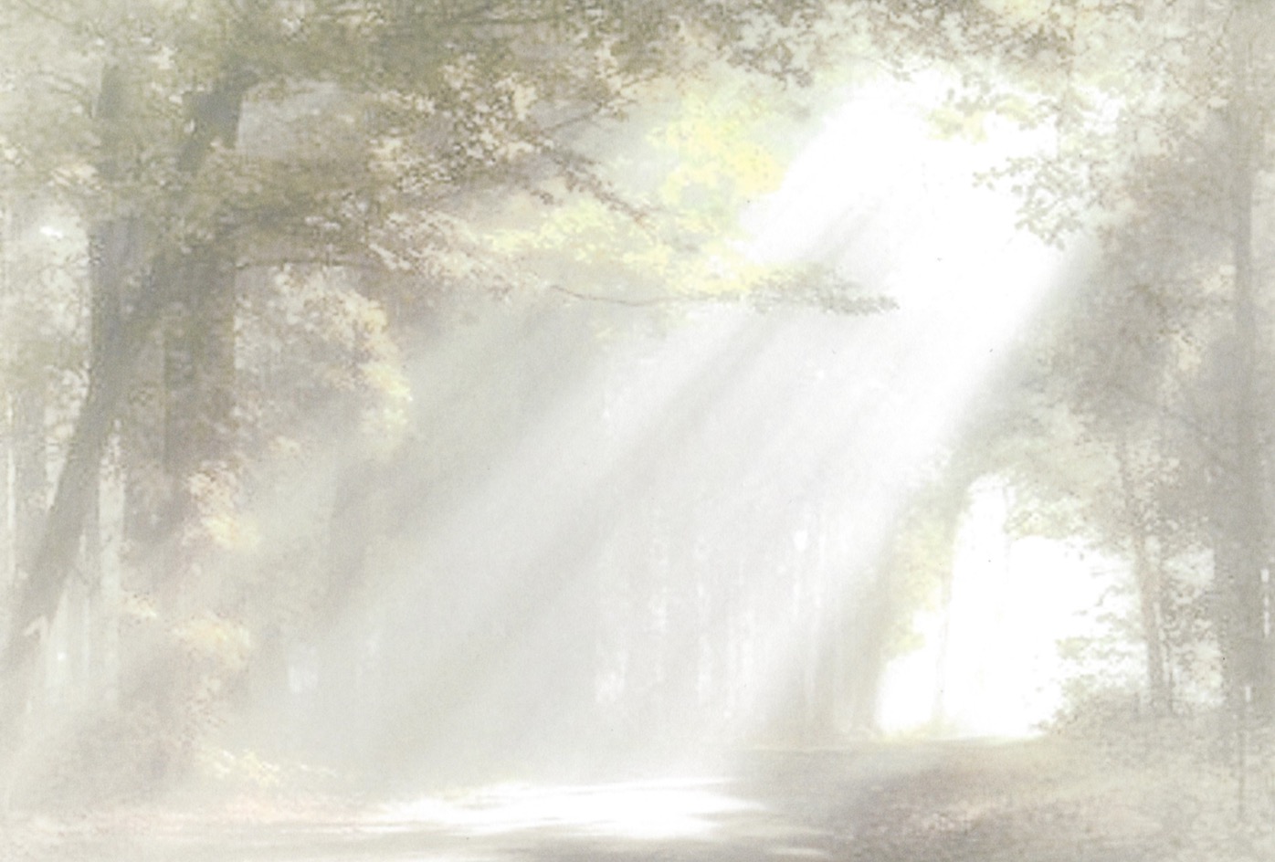 Overlijdensbericht: Harry Vaes - Nederweert24