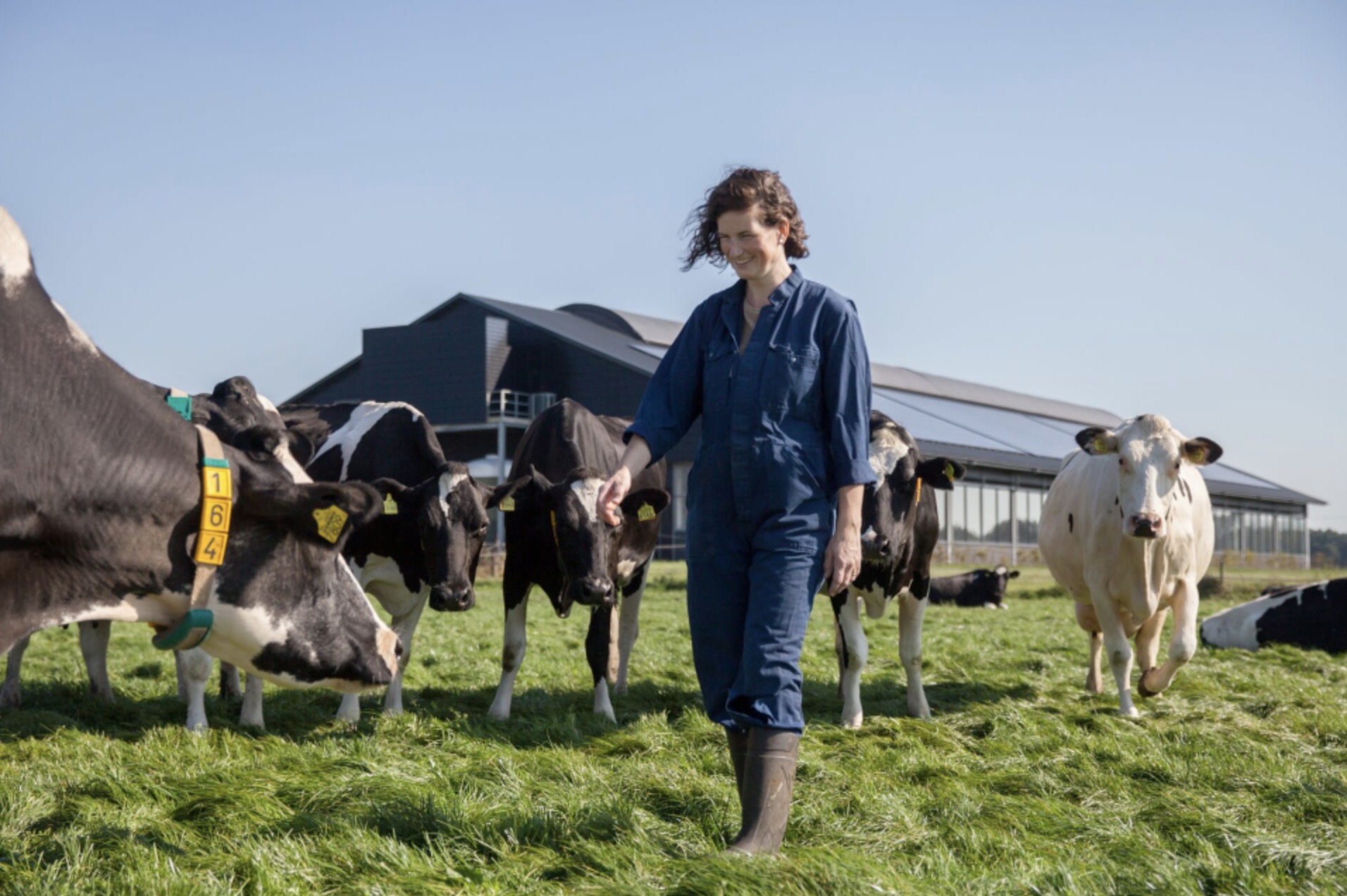 Boerin vond Professor - Nederweert24