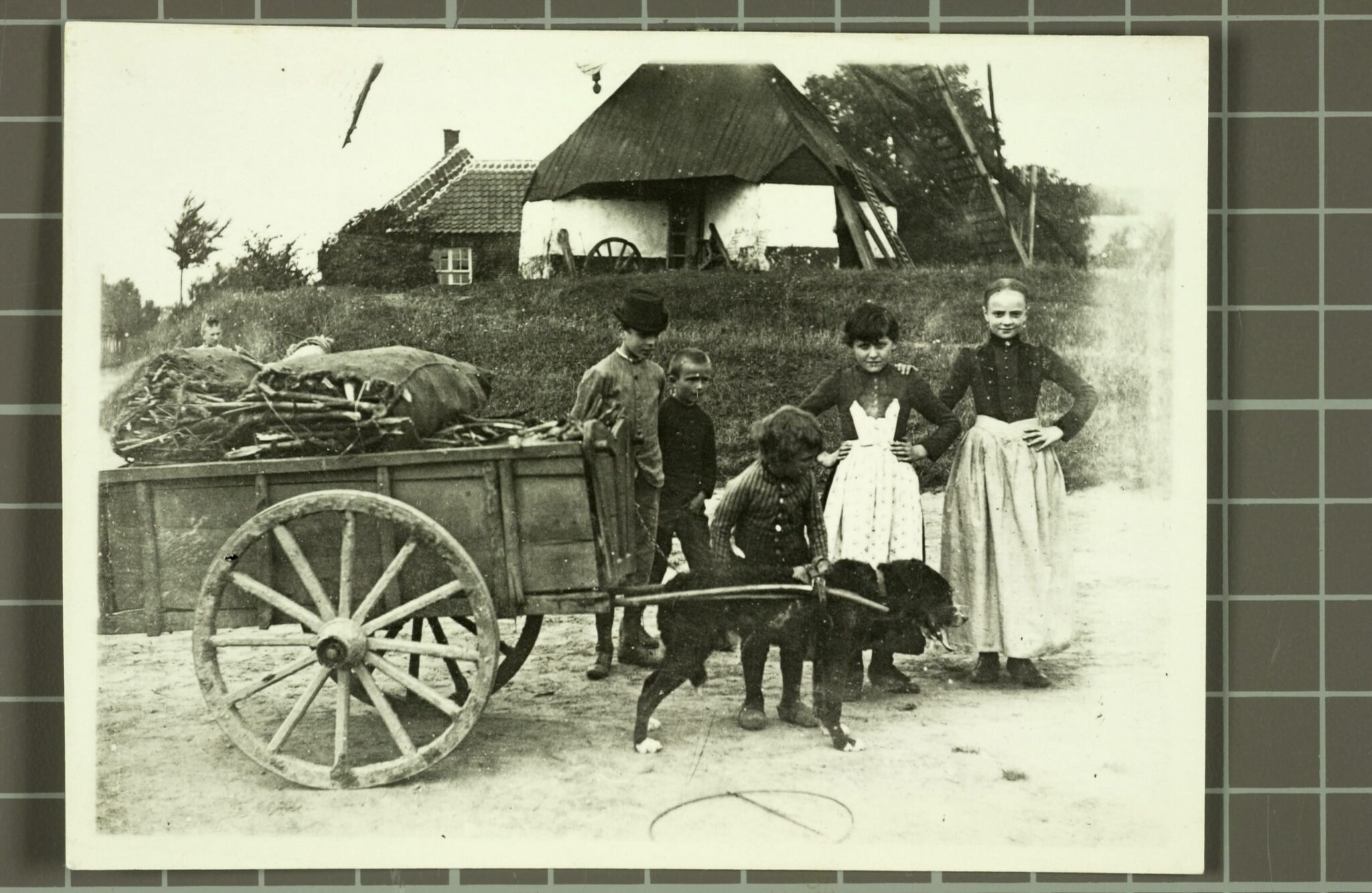 Parel van de heide | Herdruk succesboek 19e eeuw van Aldenborgh Weert - Nederweert24
