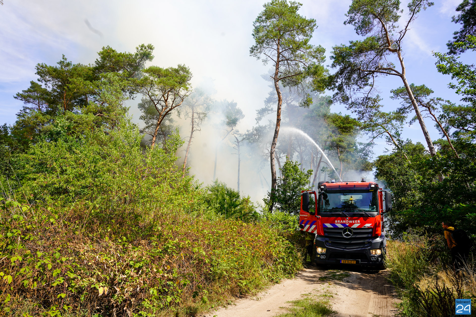 Zeer grote bosbrand Beversdijk Weert - Nederweert24