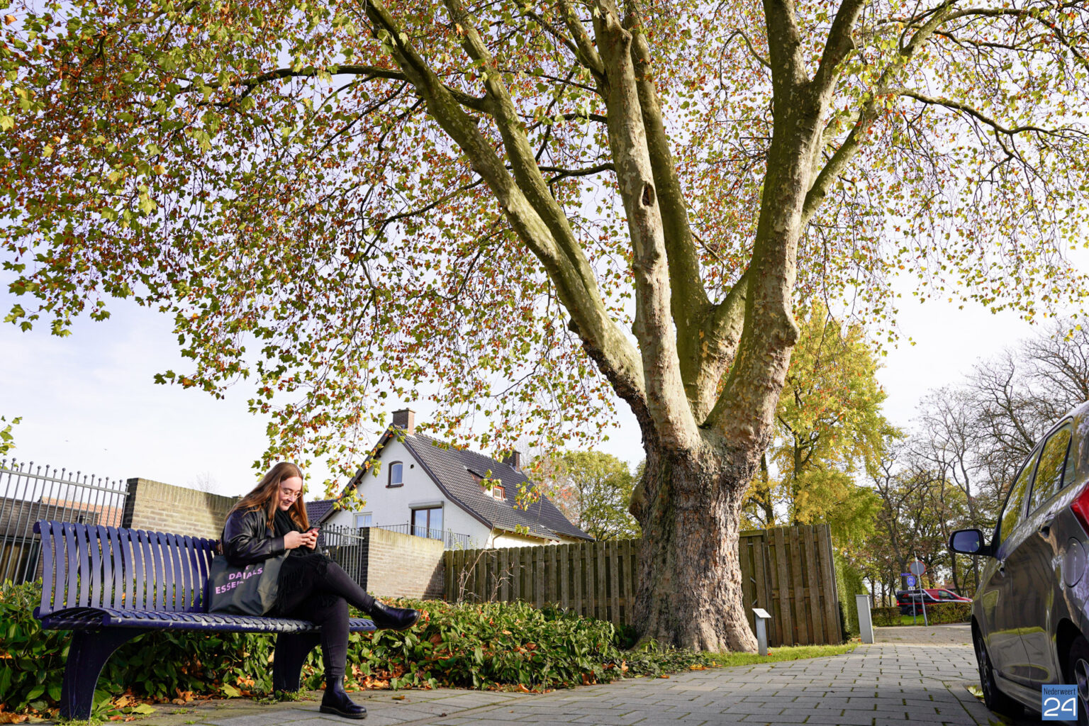 Extra groen in gemeente Nederweert - Nederweert24