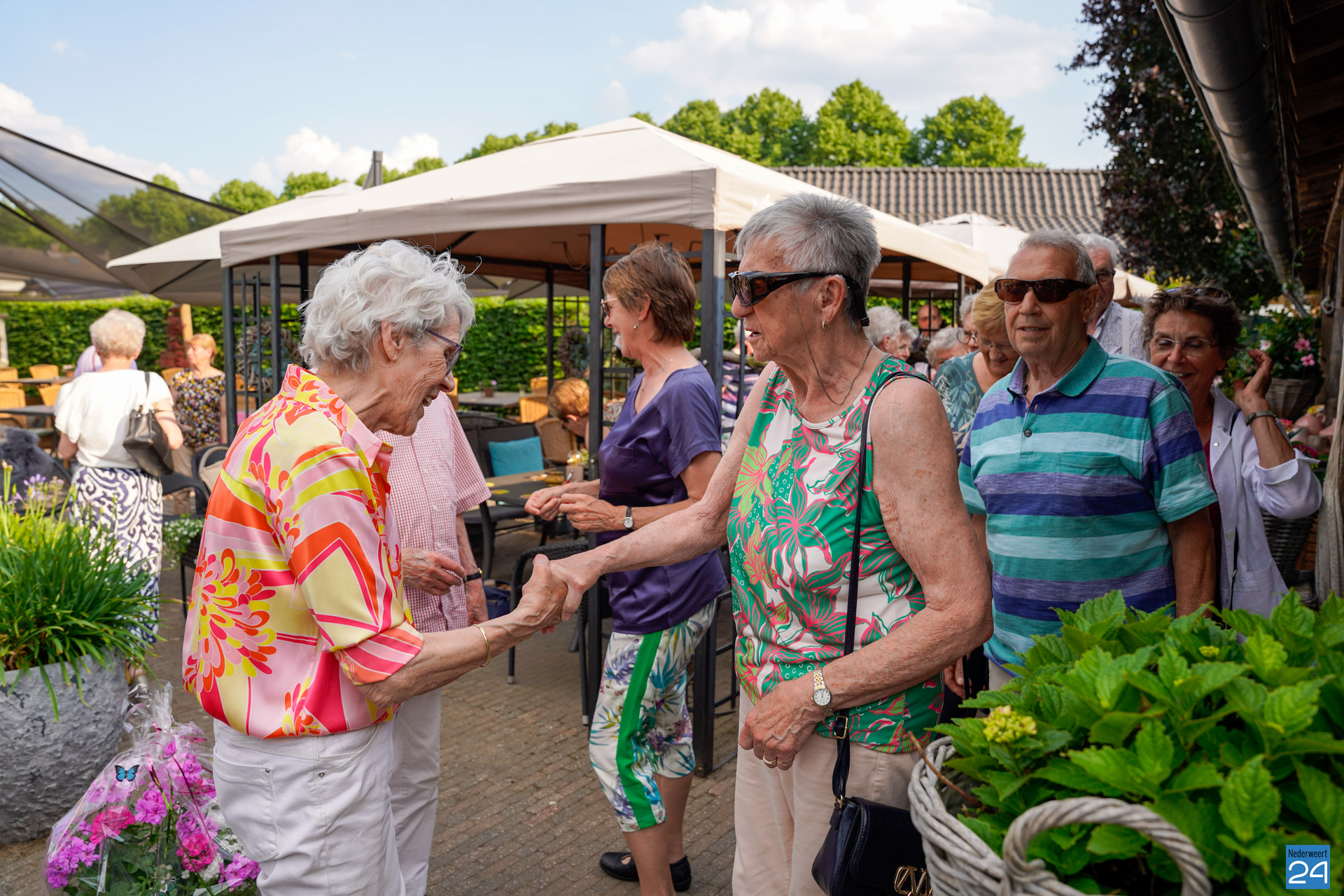 Nelly Rulkens krijgt gouden speld Zonnebloem voor 40 jaar ...