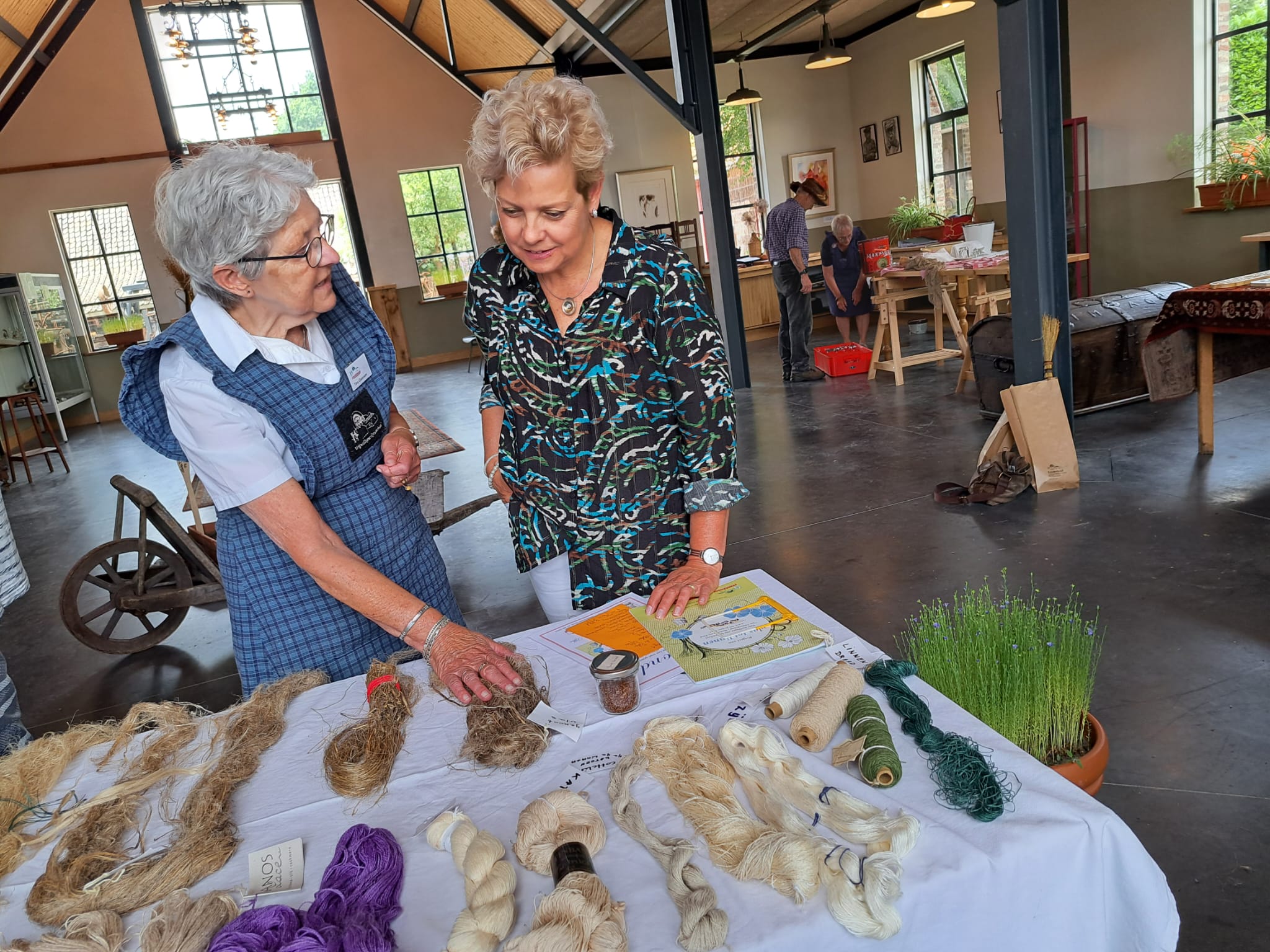 'Van Vlas tot Linnen' op Eynderhoof Nederweert-Eind (Video) - Nederweert24