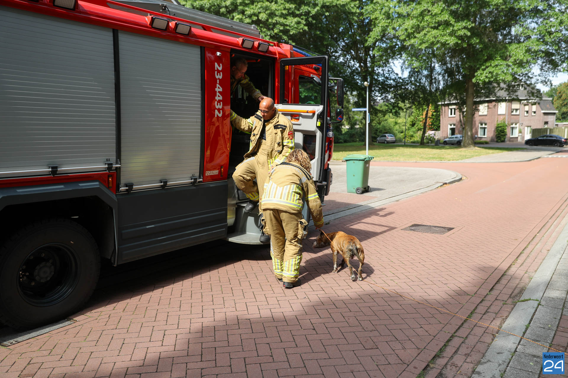 Hond uit sloot Louis Regoutstraat Weert gered - Nederweert24