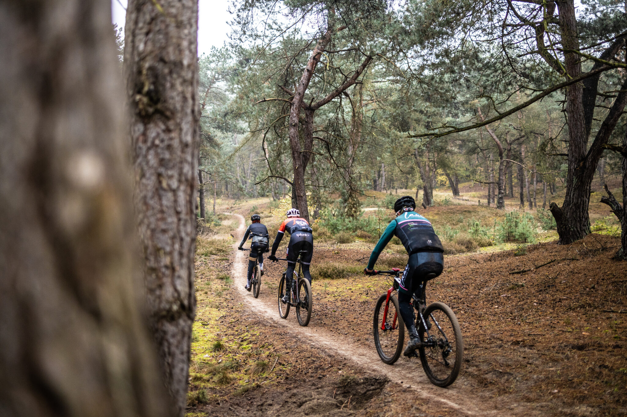 Unieke en spectaculaire Land van Horne MTB Toertocht & Gravelride ...