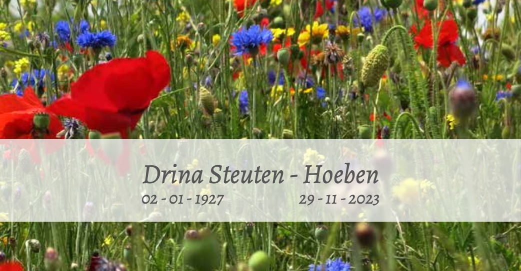 Overlijdensbericht | Drina Steuten - Hoeben † - Nederweert24