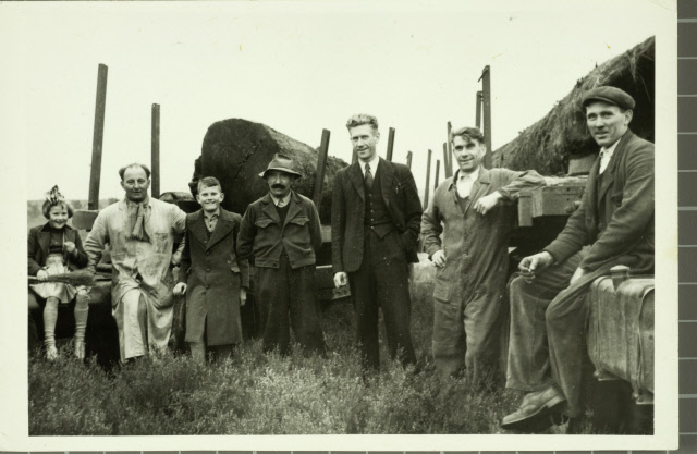 Nieuw licht op ouderdom van ‘reuzenboom’ uit Ospelse Peel - Nederweert24