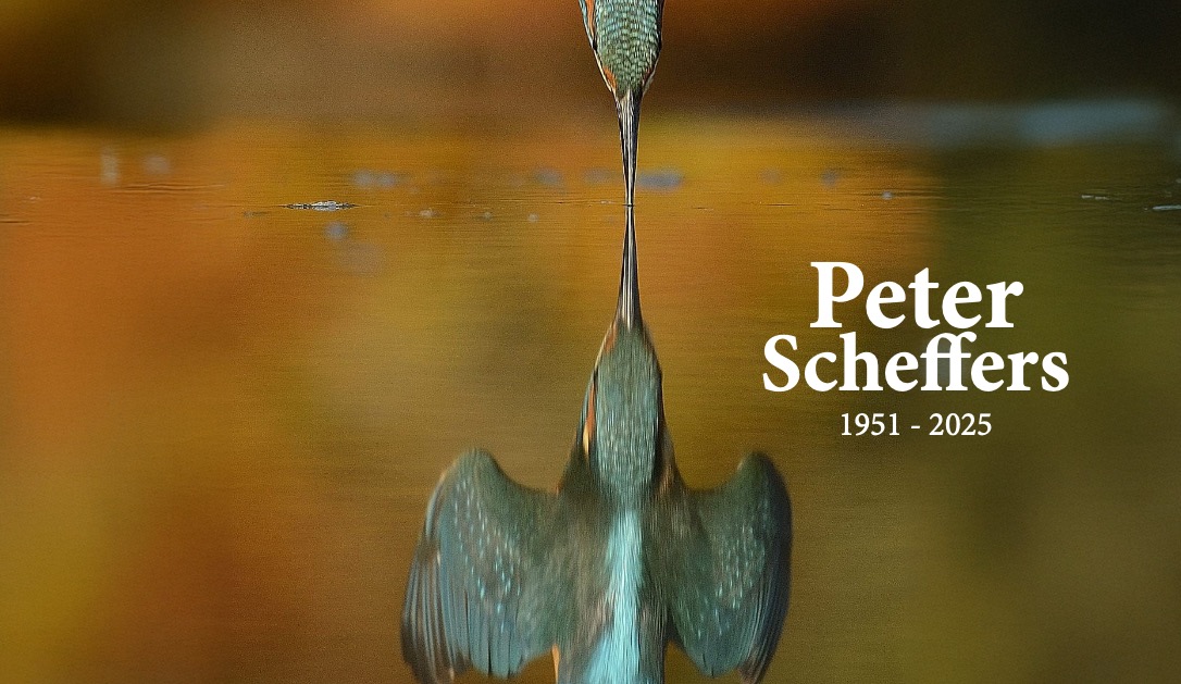 Overlijdensbericht | Peter Scheffers † - Nederweert24