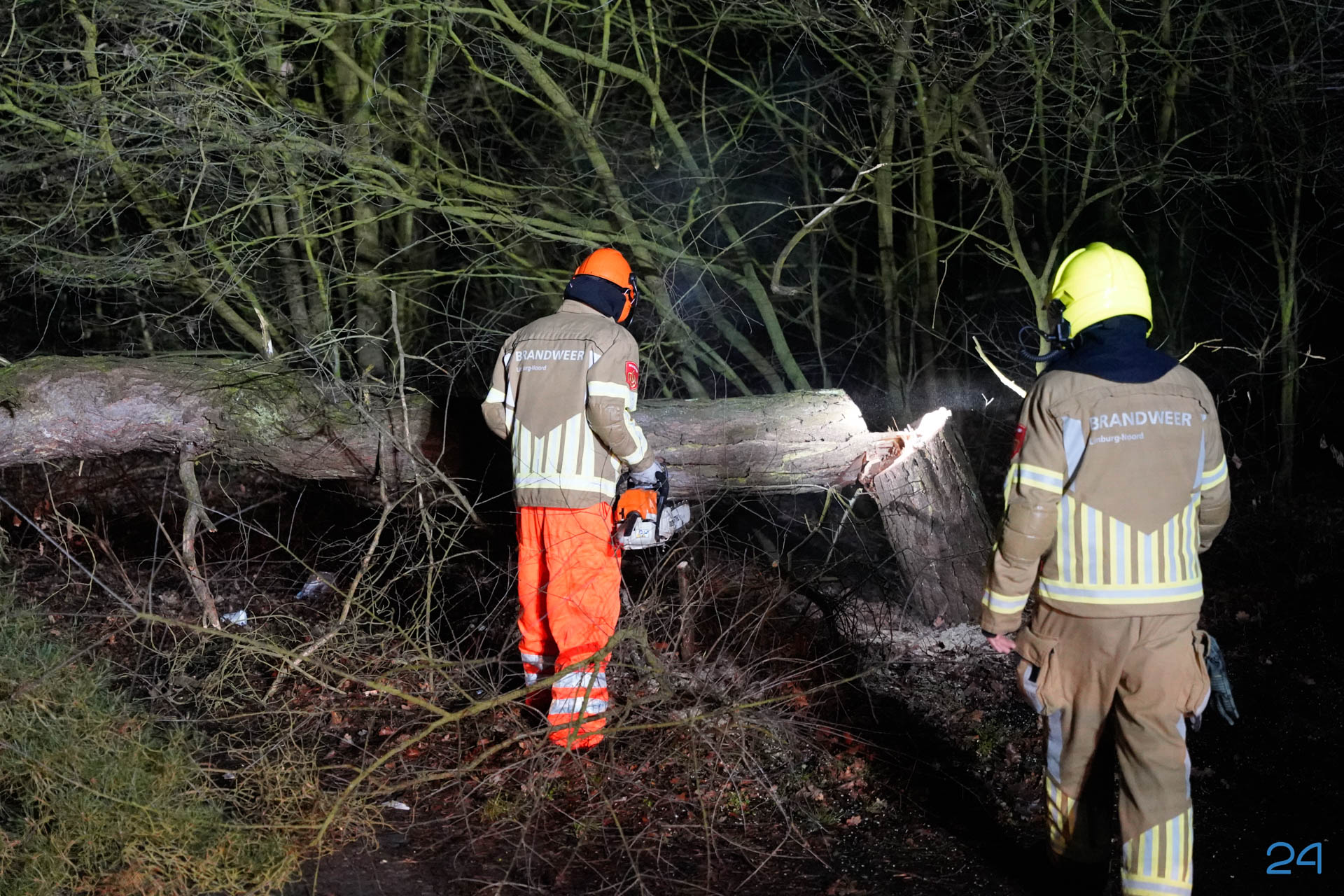 Omgezaagde boom verwijderd van de Wessemerdijk - Nederweert24