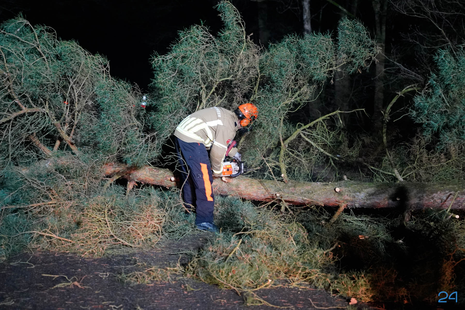Omgezaagde boom verwijderd van de Wessemerdijk - Nederweert24